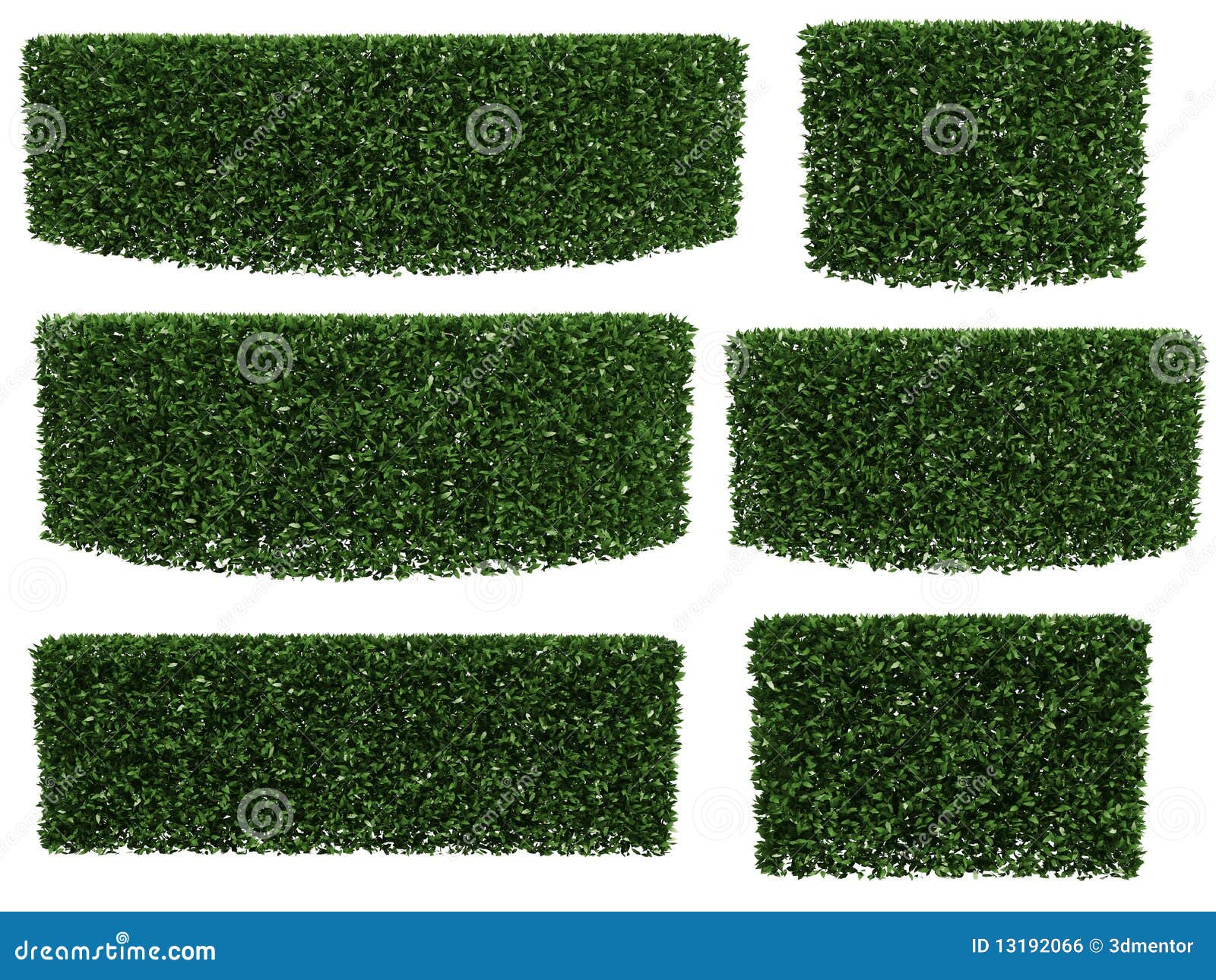 Green Hedge Stock Photography | CartoonDealer.com #13192082
