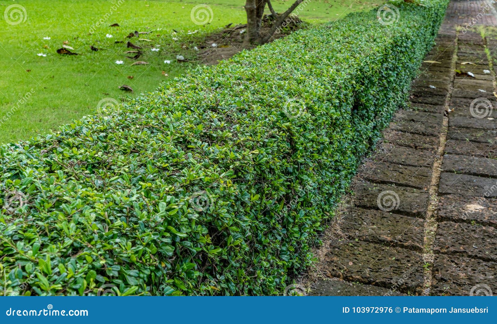 26,019 Concrete Block Road Stock Photos - Free & Royalty-Free Stock ...