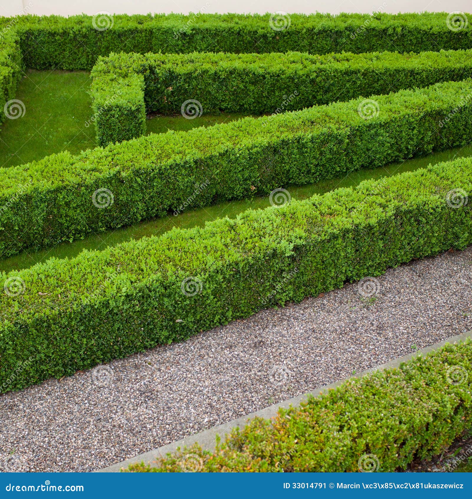 Green hedge stock image. Image of landscape, plant, plan - 33014791