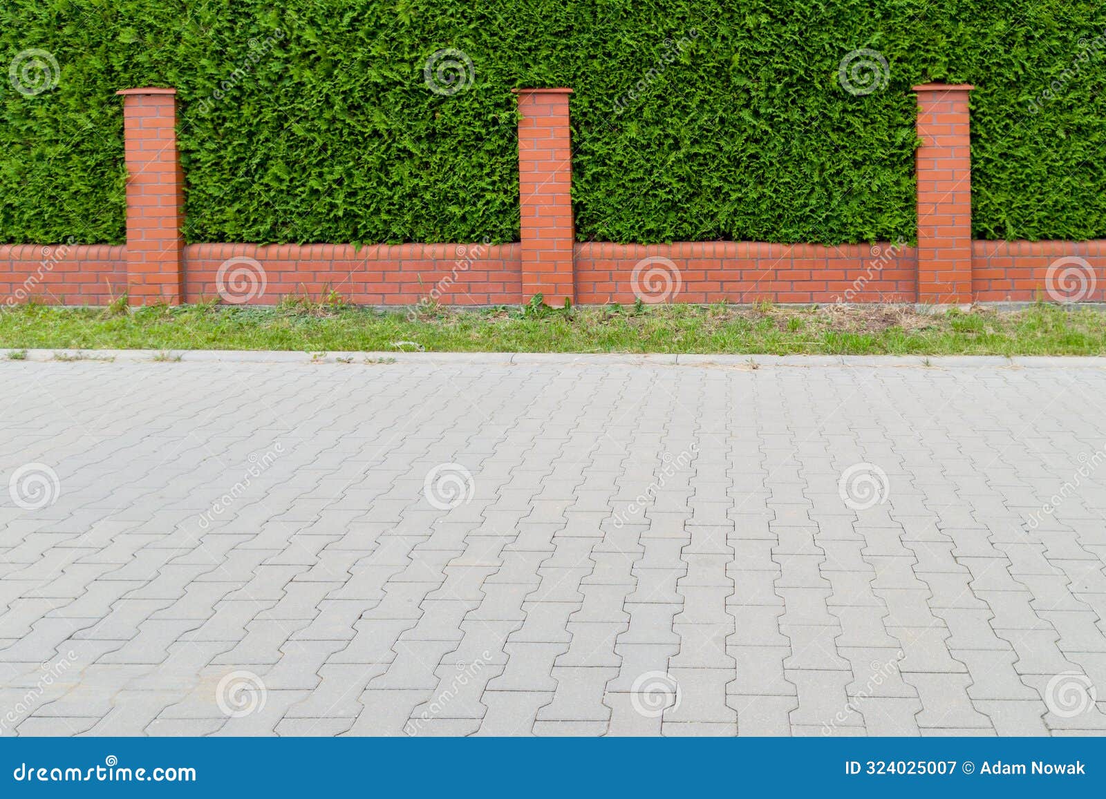 Hedge with Brick Columns on Pavement Stock Image - Image of house, home ...