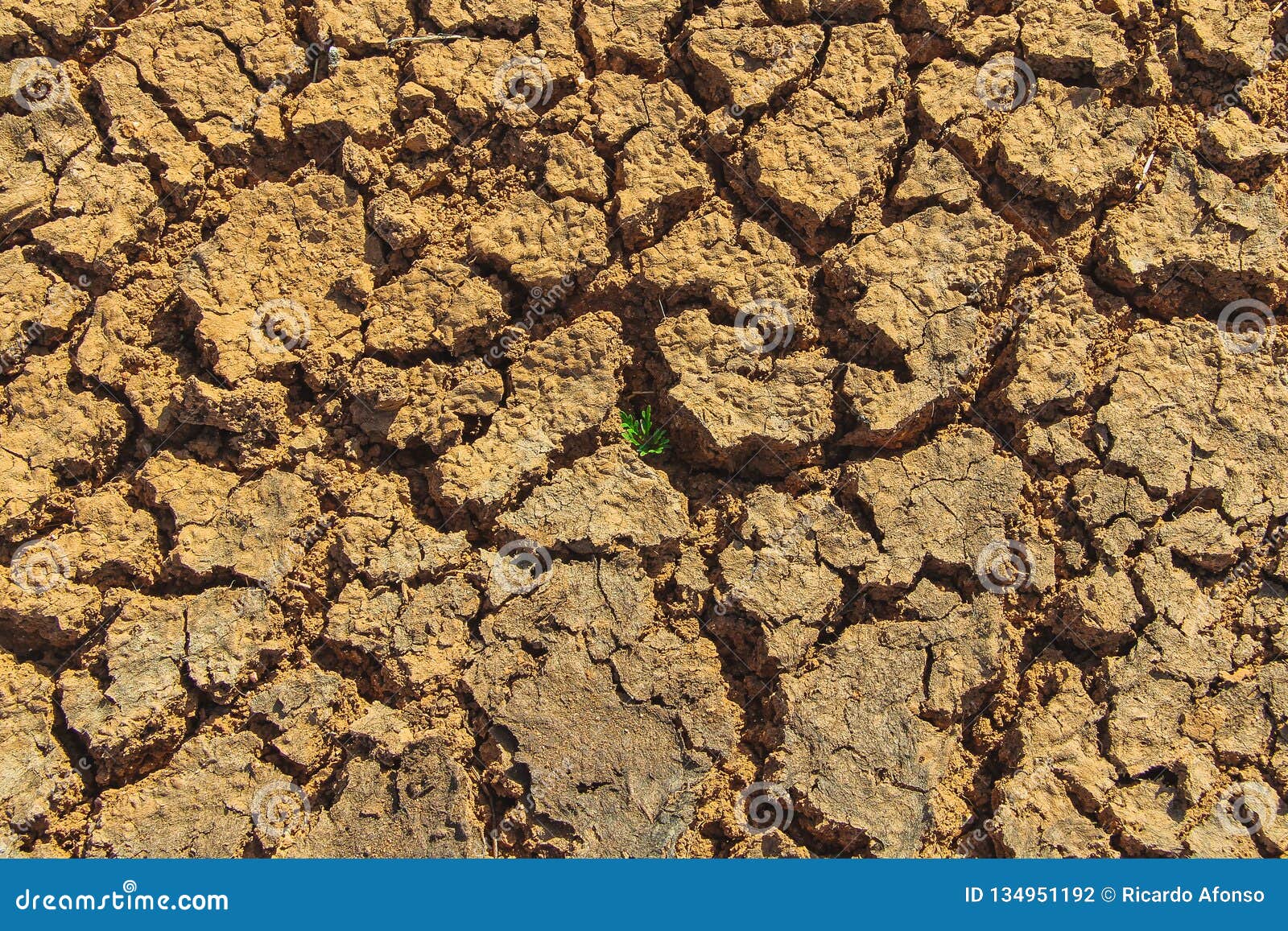 Dry land stock photo. Image of grass, global, ground - 134951192