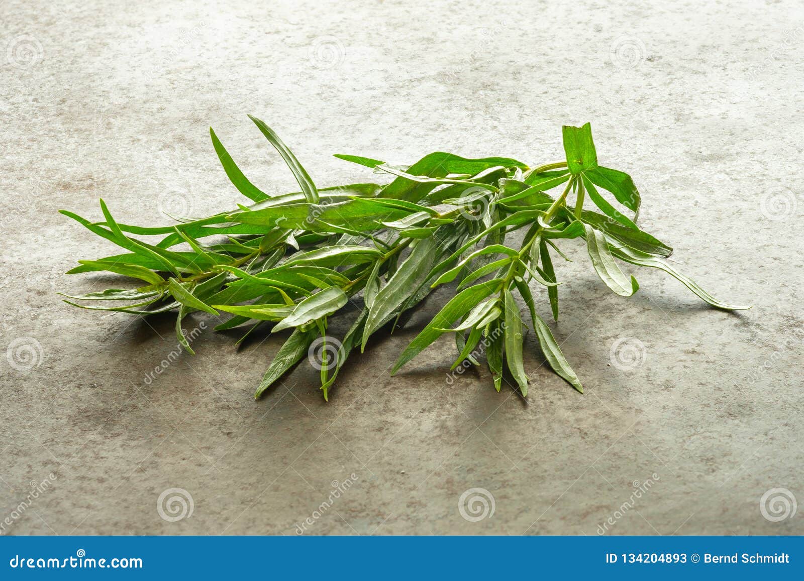 Green Herb Tarragon in Back Lit Stock Image - Image of aromatic, flora ...