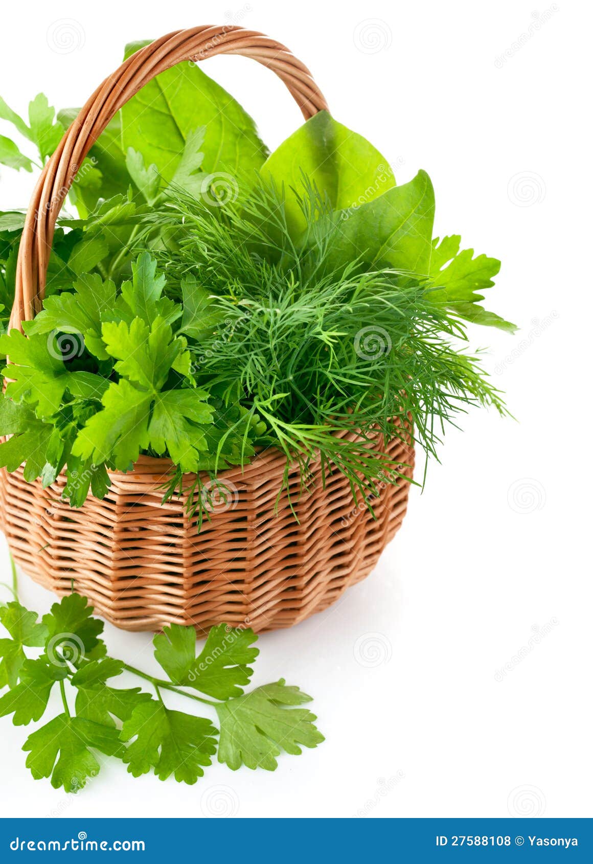 Green Herbs in Braided Basket Stock Photo - Image of herb, contents ...