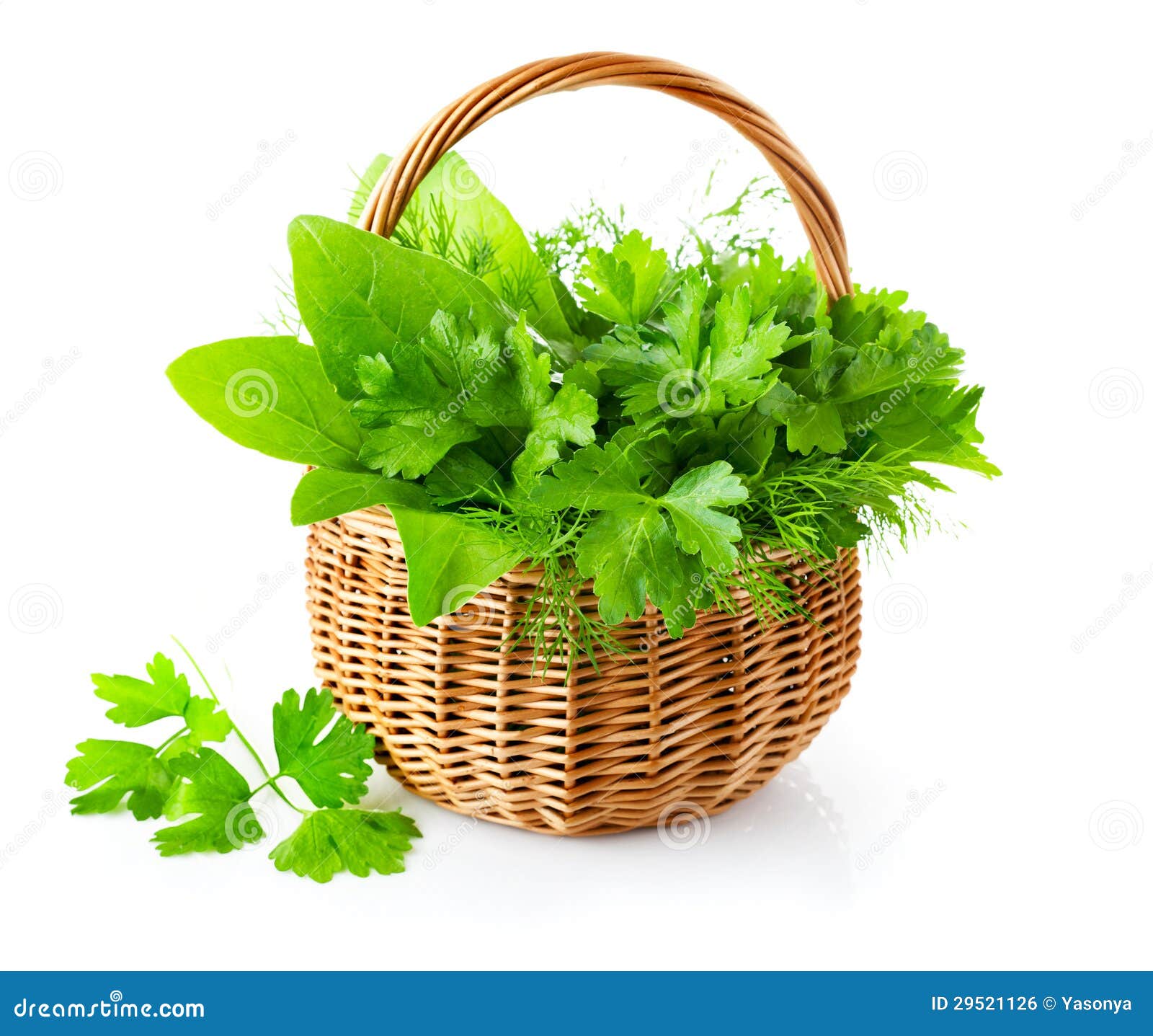 Green Herbs in Braided Basket Stock Photo - Image of background, eating ...