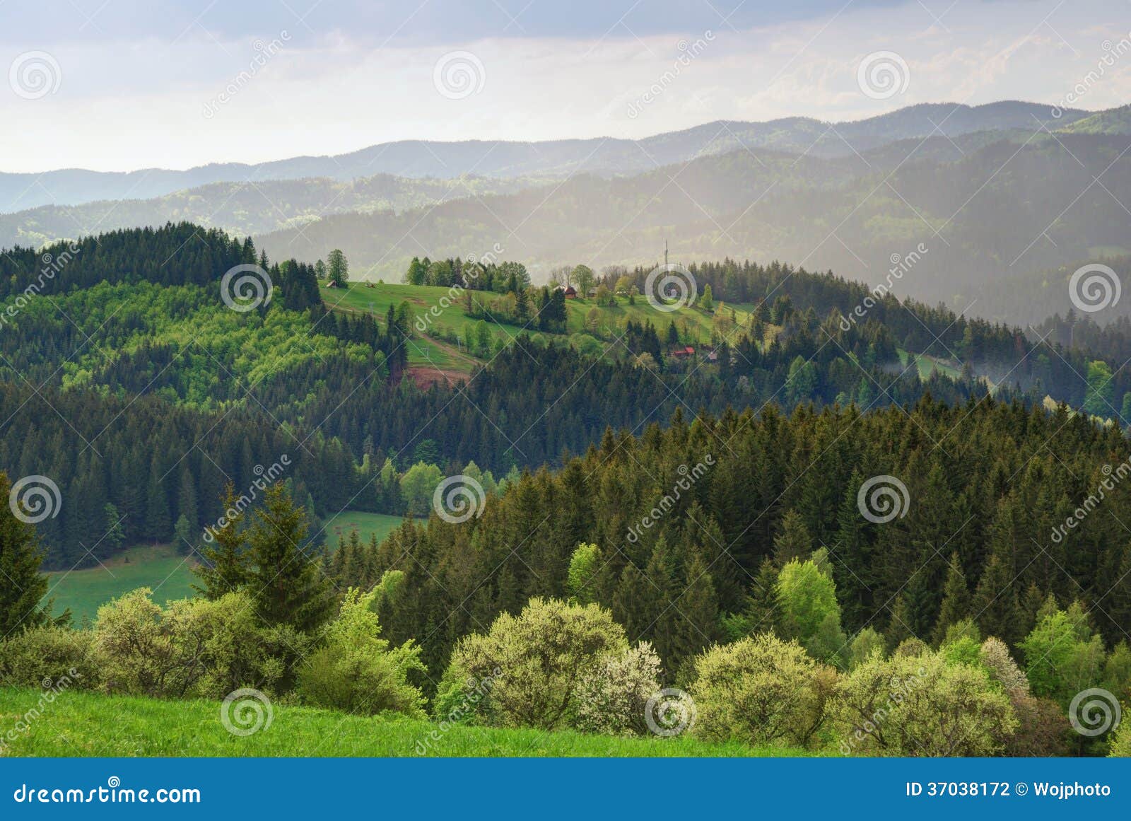 Green Highland Hills Countryside Stock Photo - Image of coniferous ...