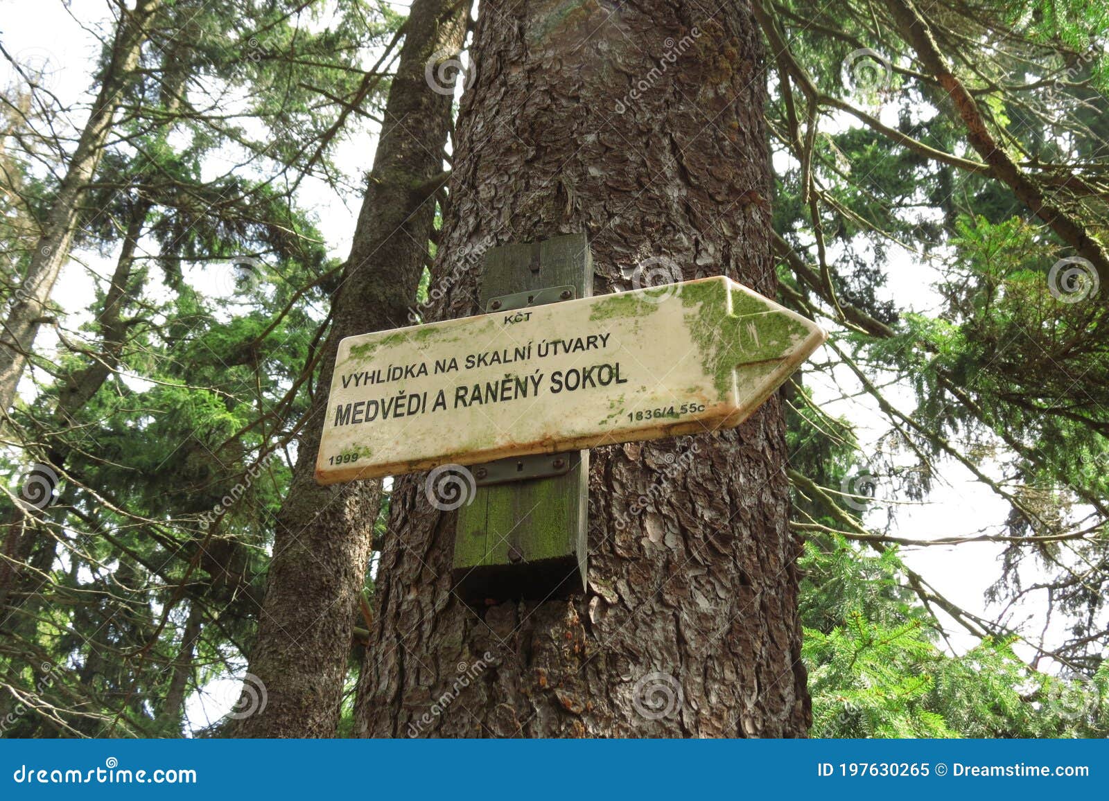 Green Hiking Trail Sign on the Tree in Czech Republic Stock Image ...