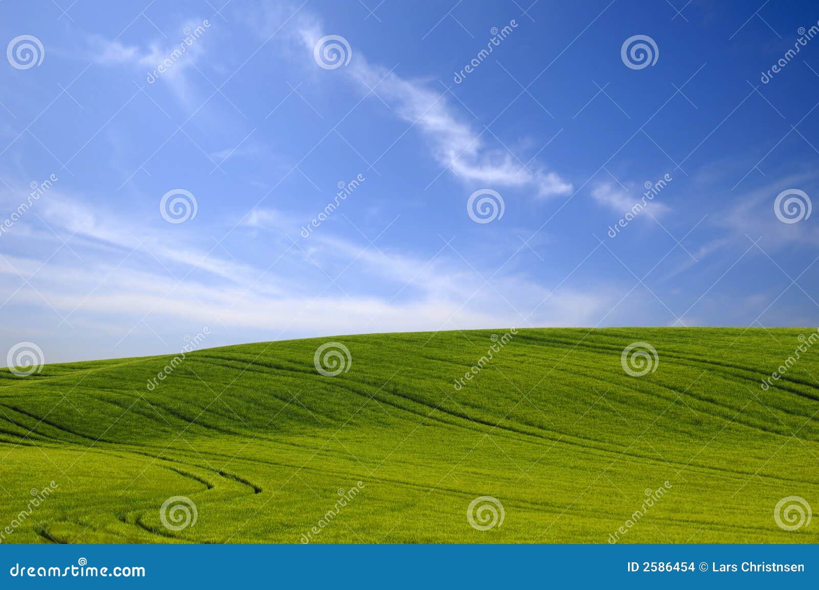 Green hill and blue sky. stock photo. Image of flora, alone - 2586454