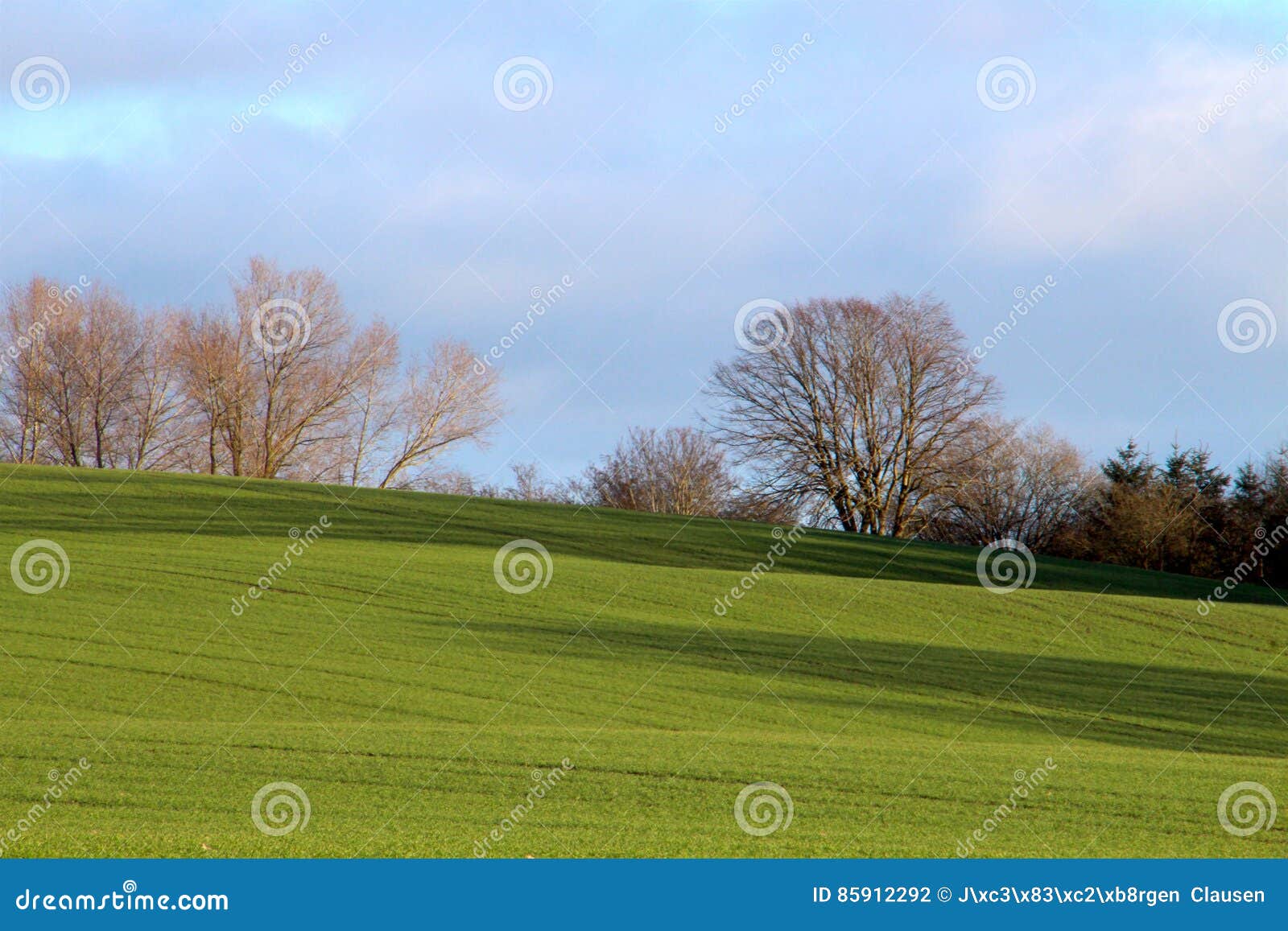 Green Hill in January and a Blue Sky Stock Photo - Image of sunlight ...