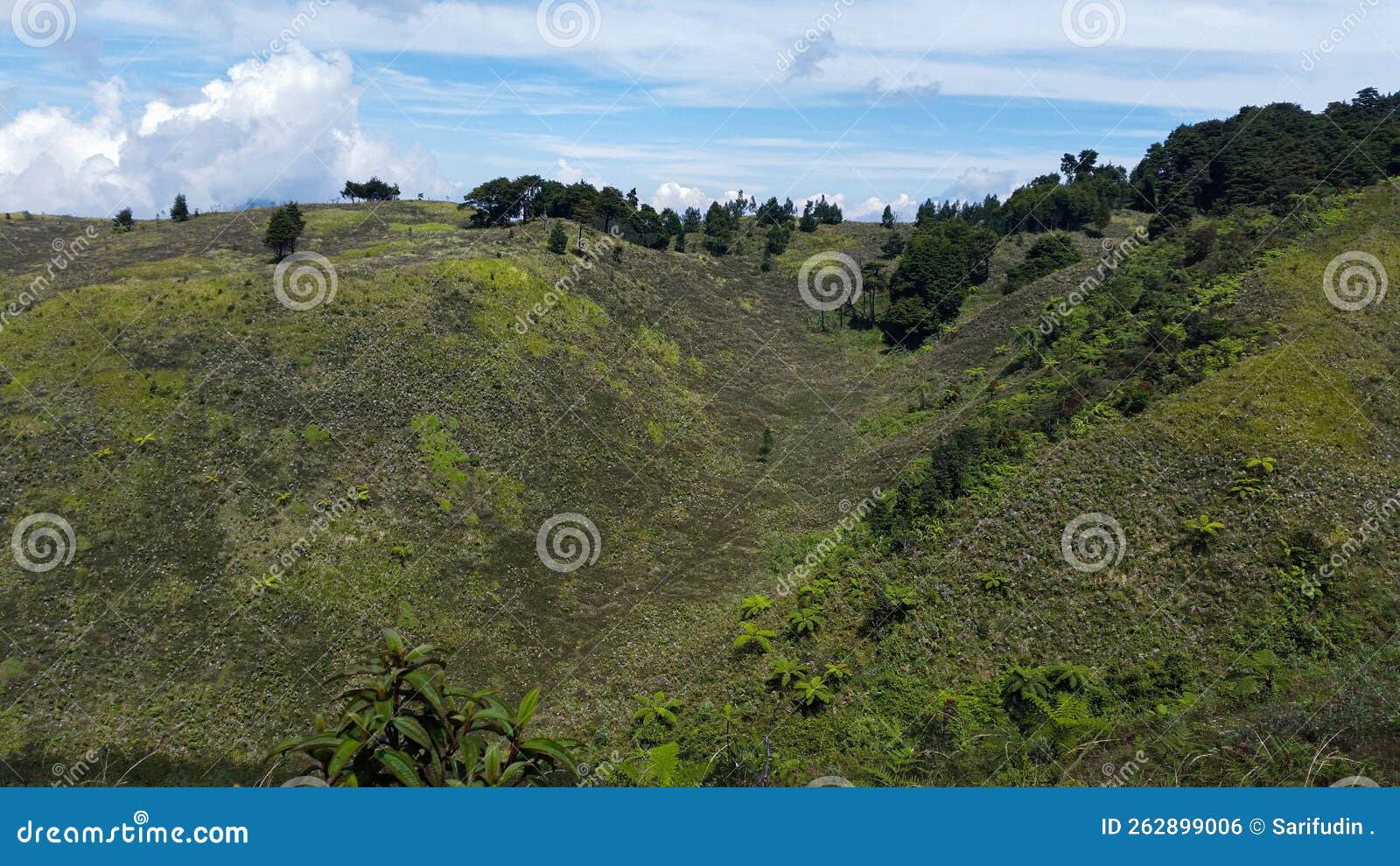Green Hill on Mount Prau Wonosobo, Central Java Stock Photo - Image of ...