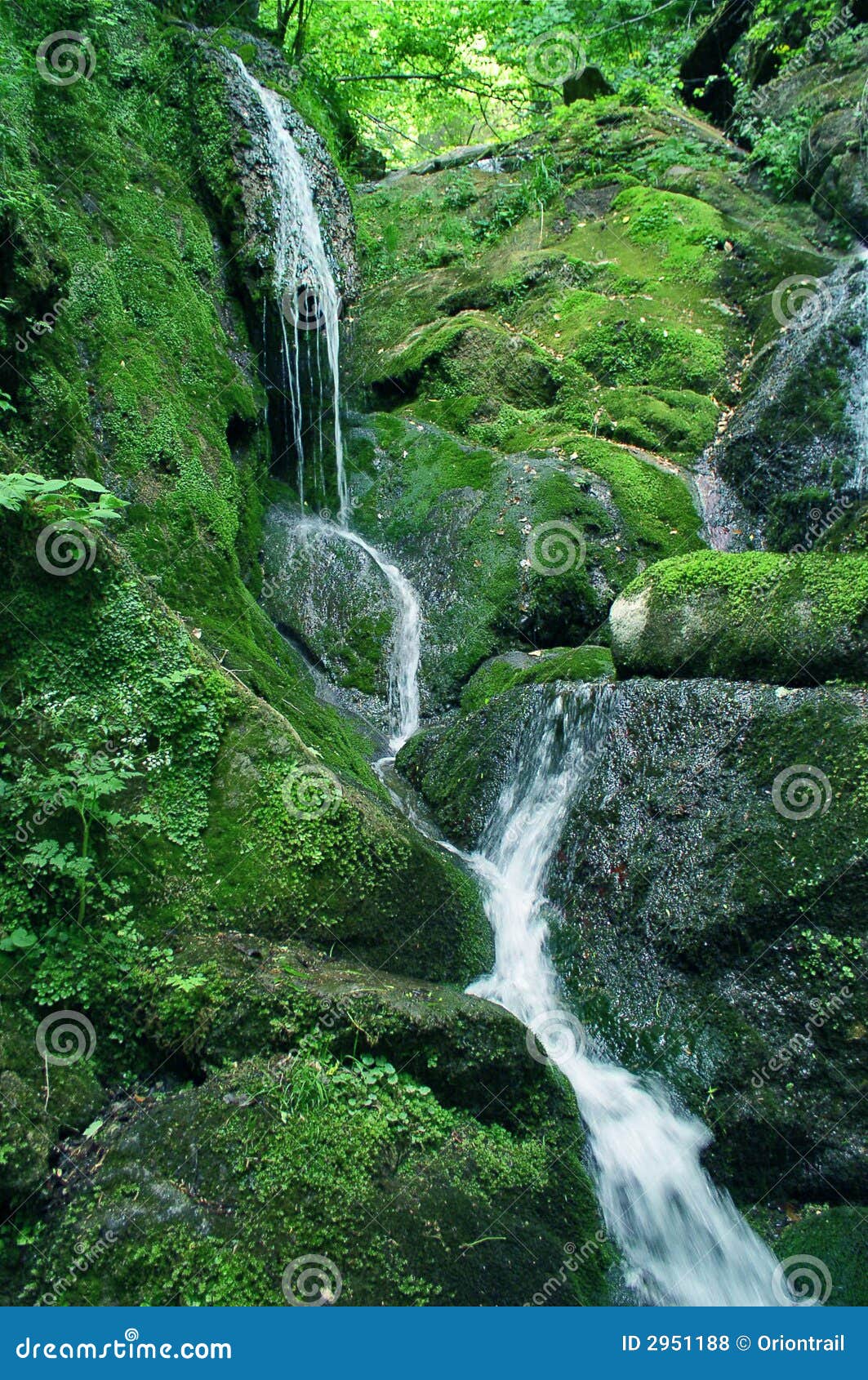 Green hill waterfall stock photo. Image of drops, branch - 2951188