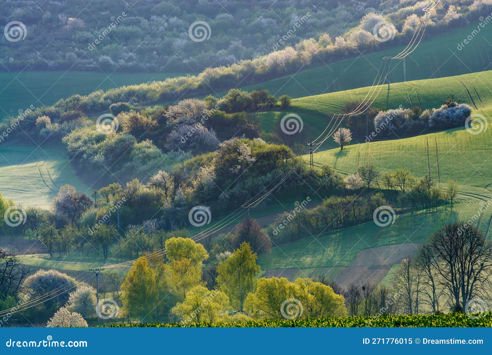 Green hills in moravia stock image. Image of road, hills - 271776015