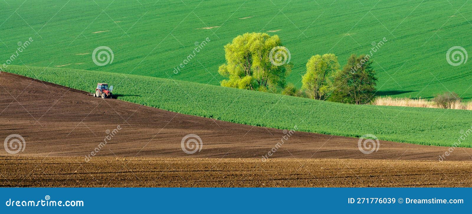 Green hills in moravia stock image. Image of summer - 271776039