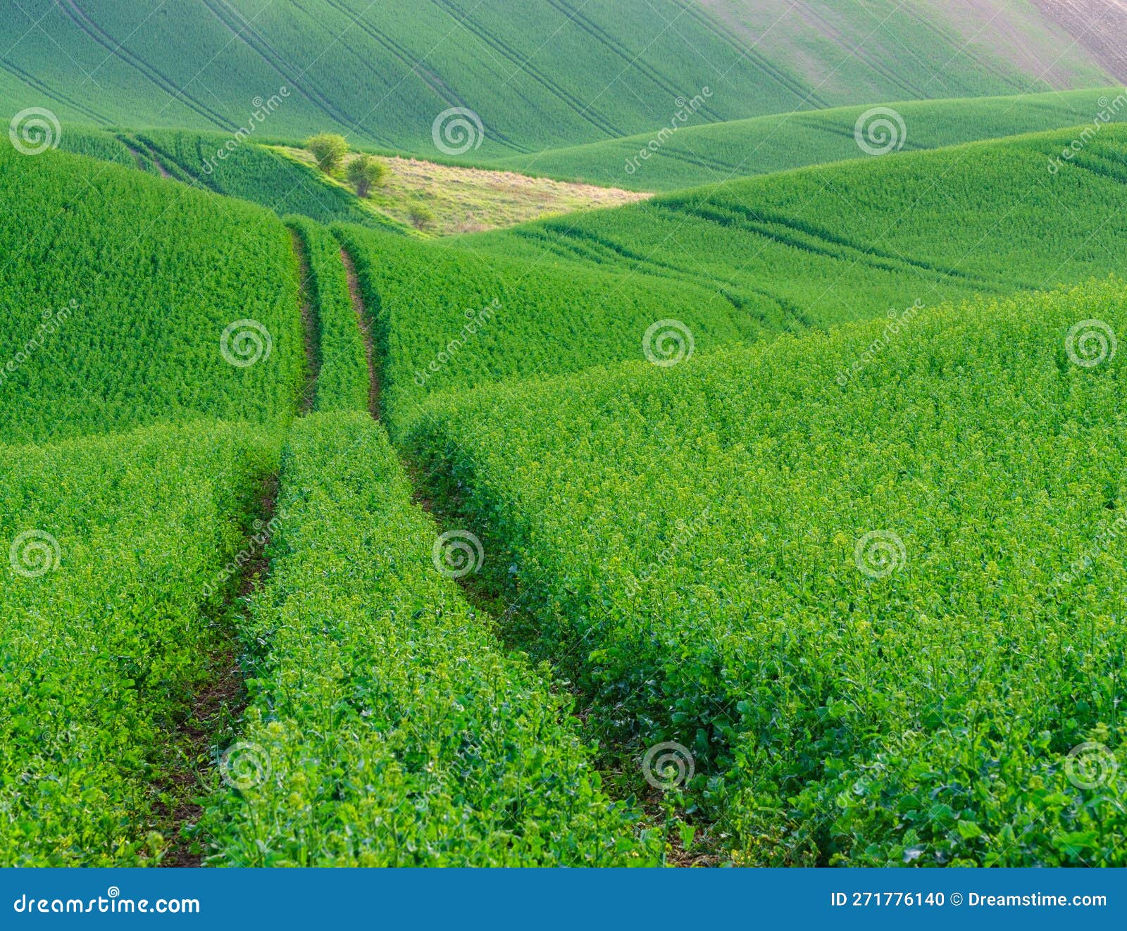 View on Green Hills in Moravia Stock Photo - Image of countryside ...