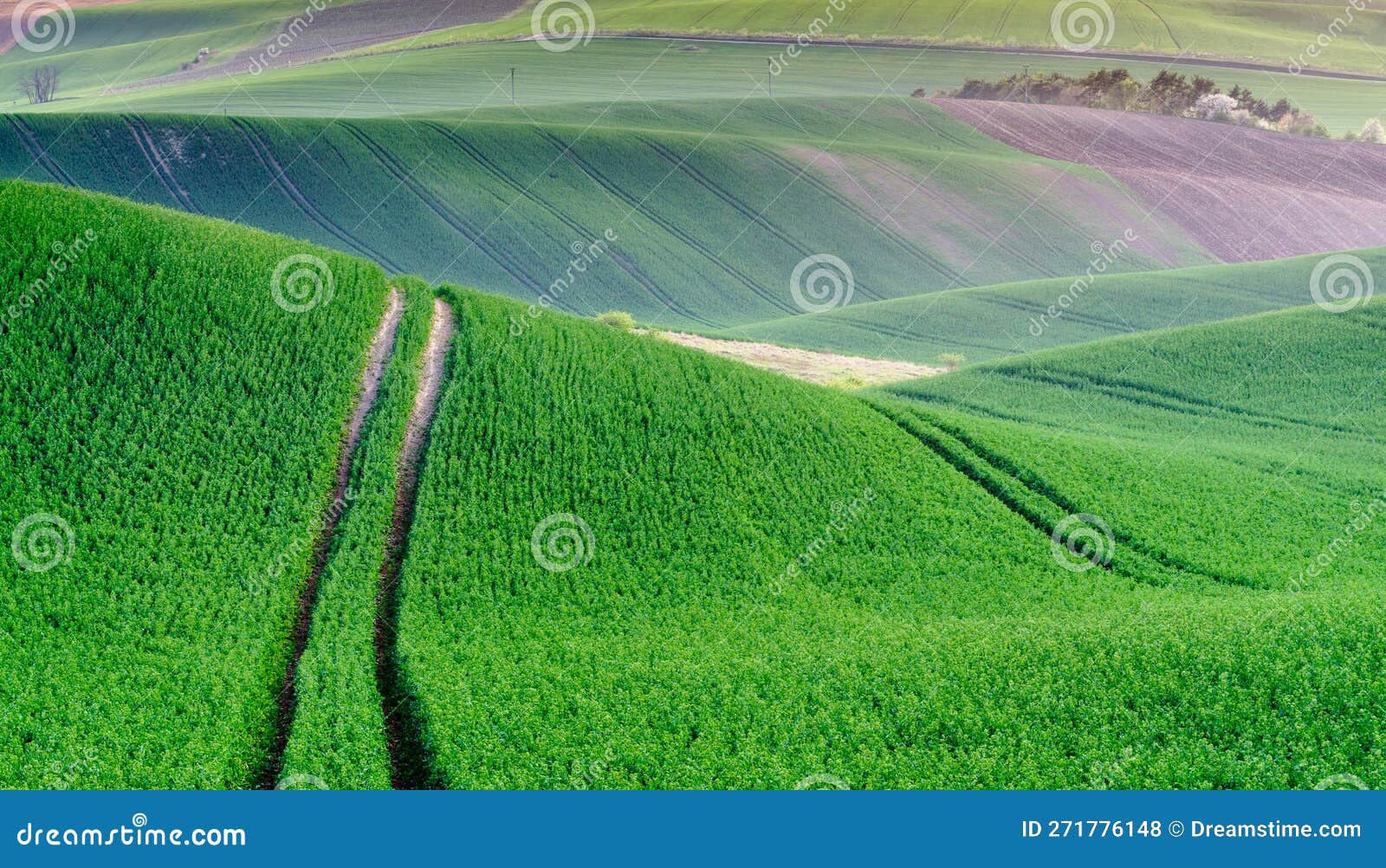 View on Green Hills in Moravia Stock Photo - Image of farm, grass ...