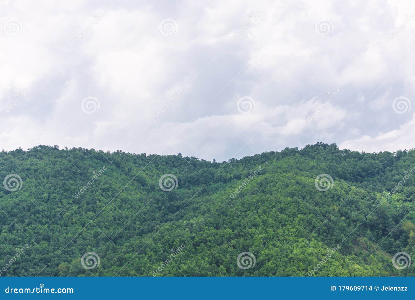 Green Hillscape stock photo. Image of plant, scenic - 179609714