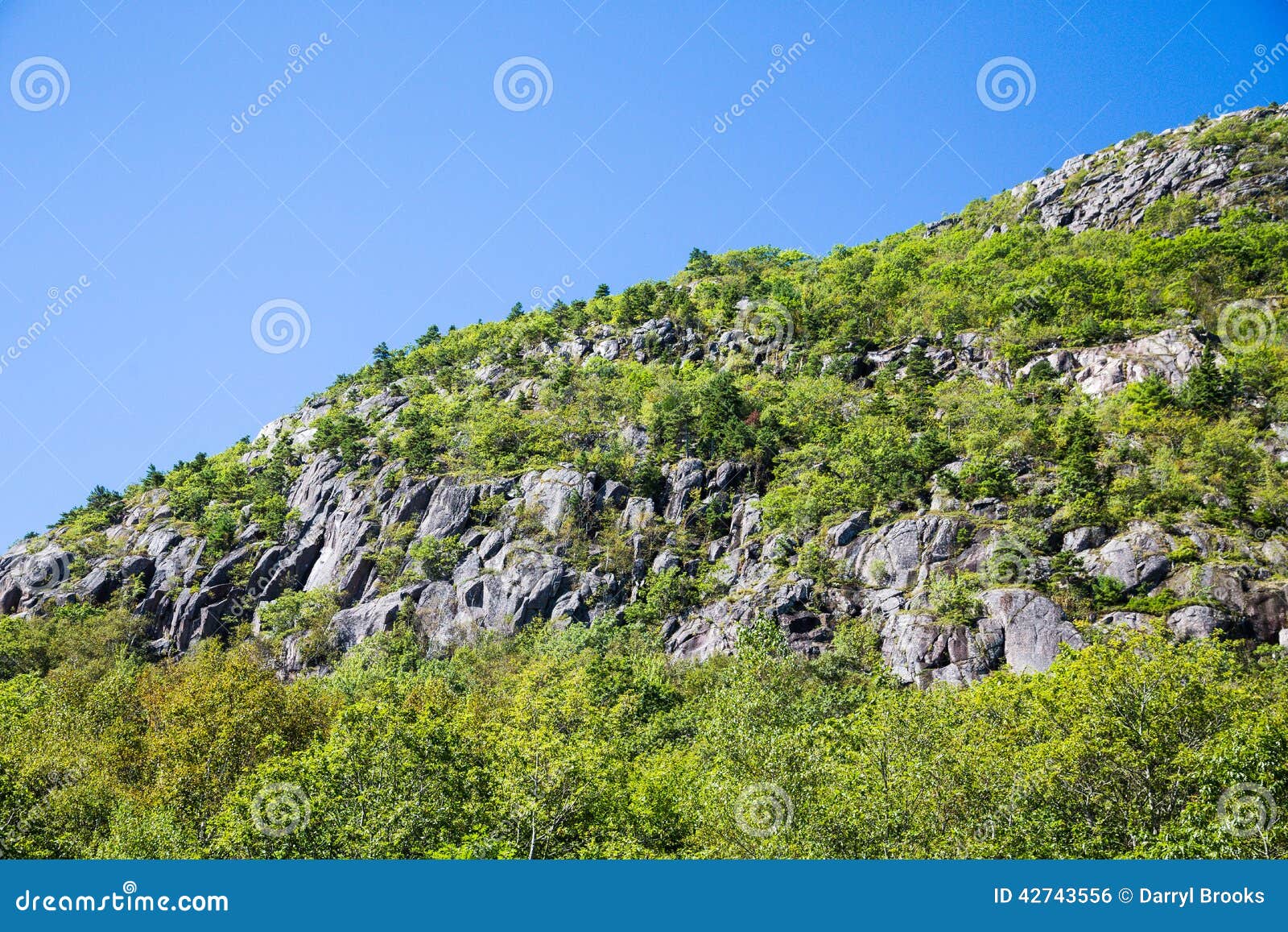 Green Hillside with Rock Surface Stock Photo - Image of forest ...