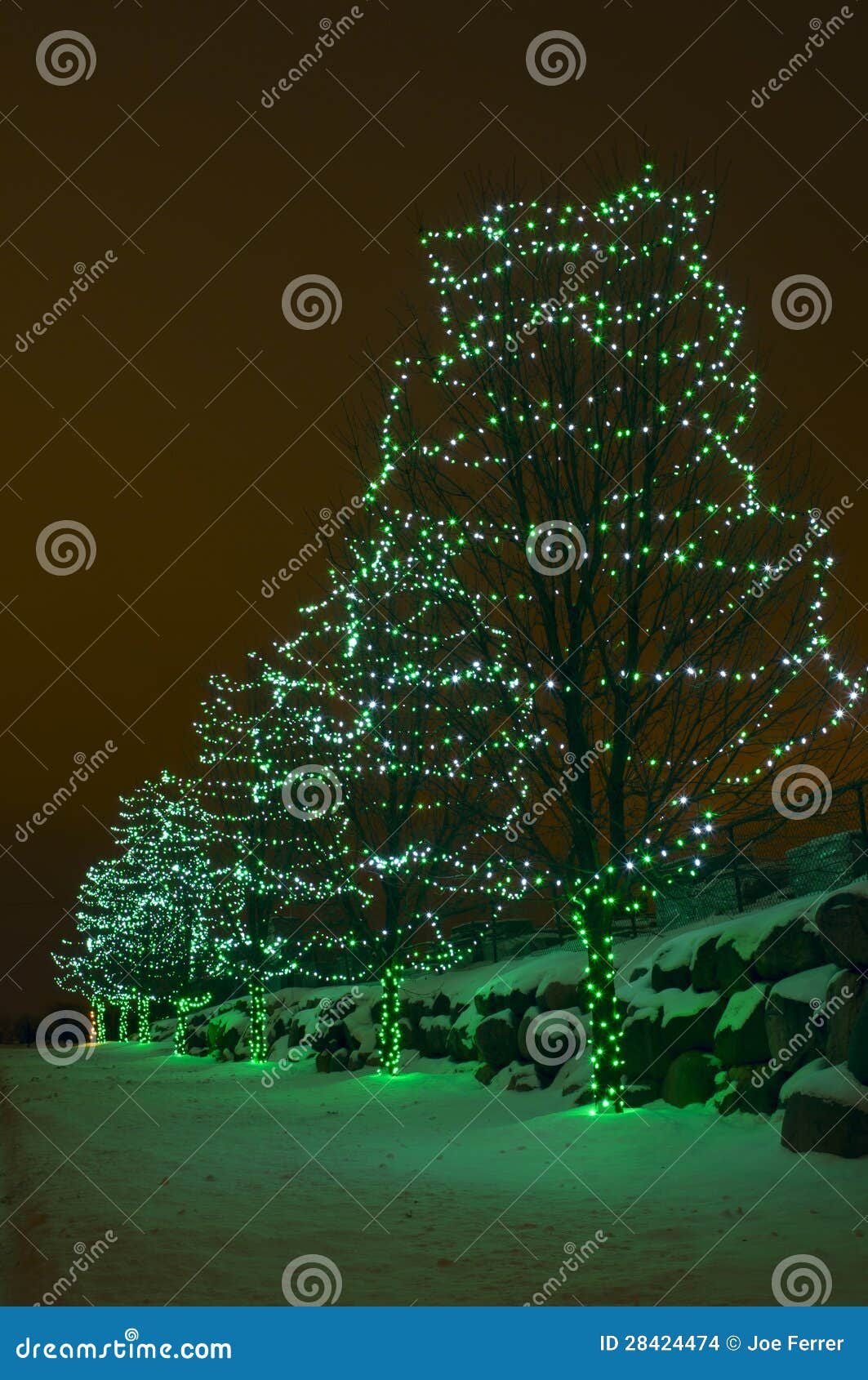 Green Holiday Lights on Trees Stock Photo - Image of outdoors ...