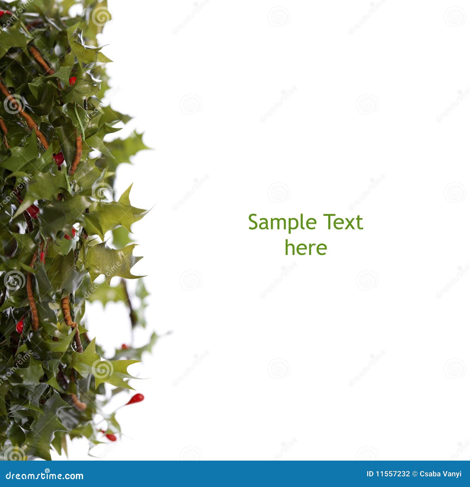 Green Holly Border Stock Photography | CartoonDealer.com #11557232
