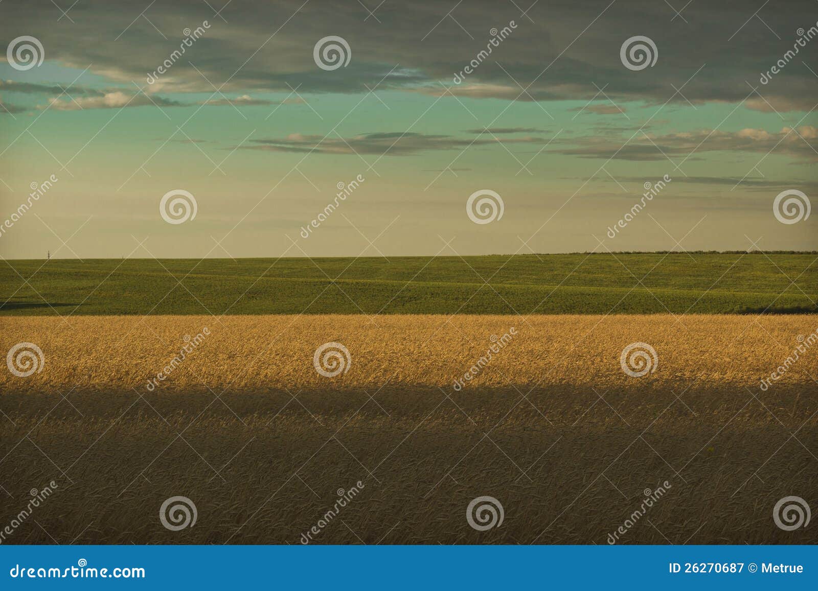 Green horizon stock image. Image of large, environment - 26270687