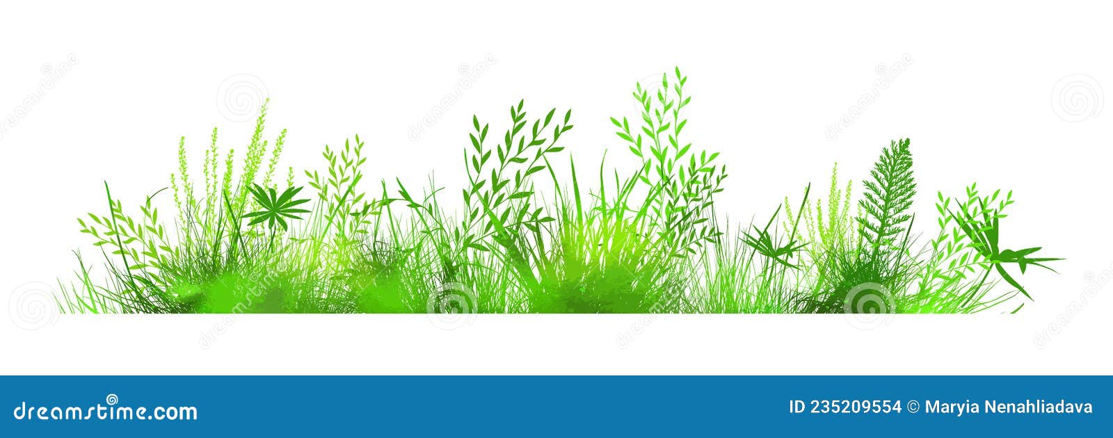 Green Grass. the Horizontal Line of the Grass. Vector Illustration ...