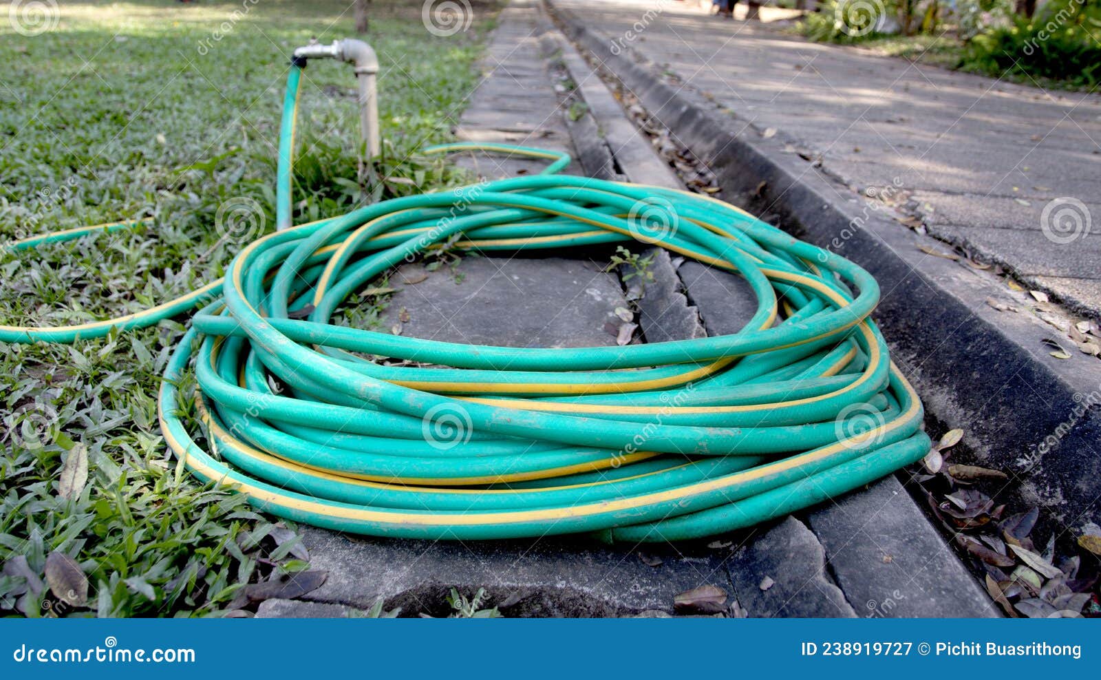 A Green Hose Rolls on a Raceway in the Park Stock Image - Image of ...