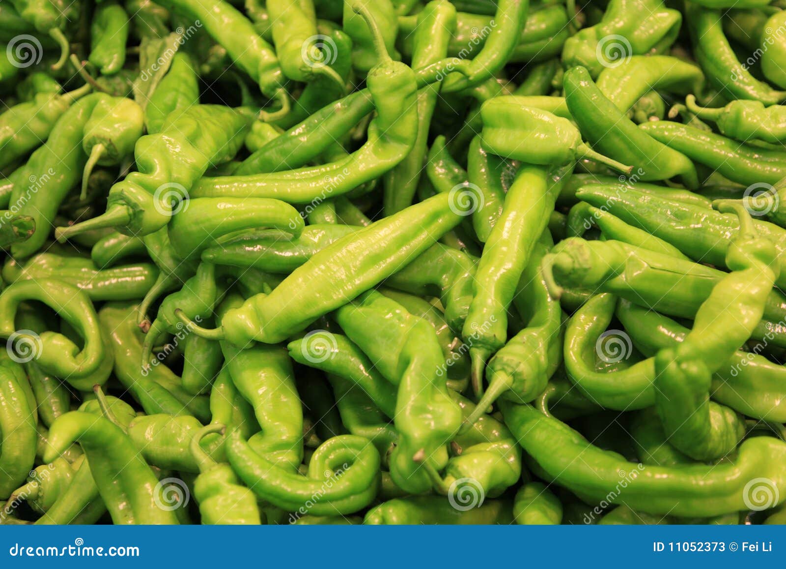 Green hot pepper stock image. Image of fruit, chili, food - 11052373