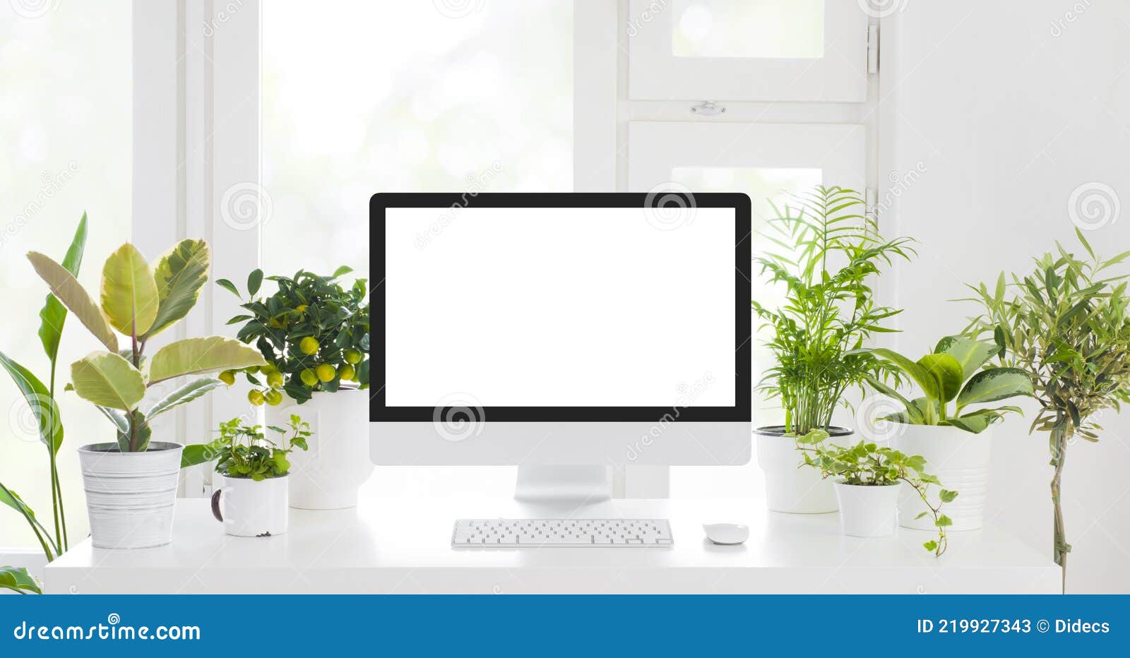704 Blank Computer Screen Plants Stock Photos - Free & Royalty-Free ...
