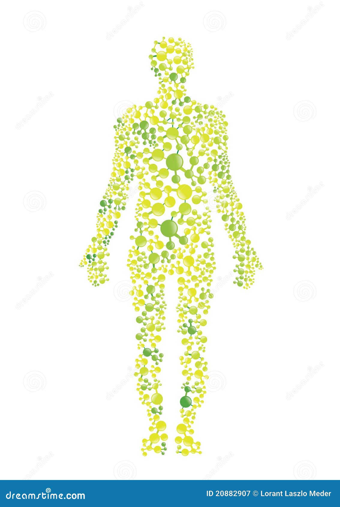 Green human body stock vector. Illustration of symbol - 20882907