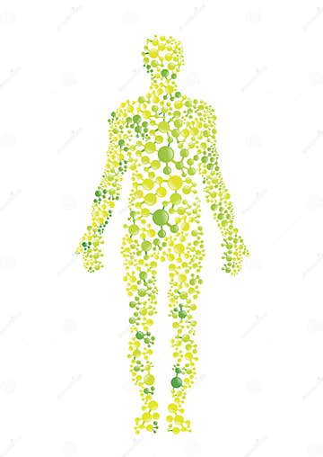 Green human body stock vector. Illustration of symbol - 20882907