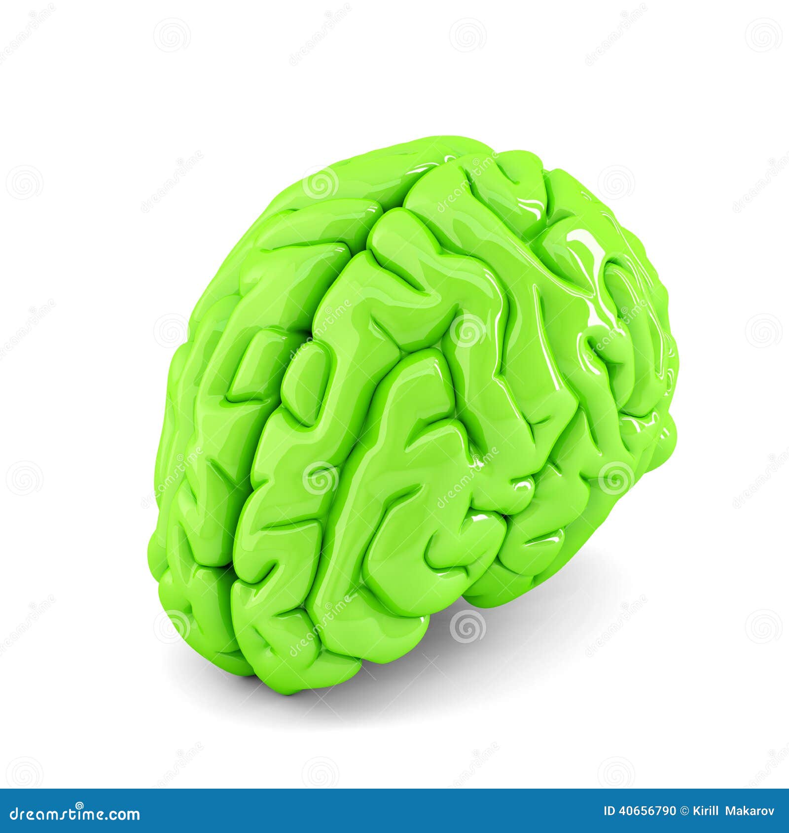 Green Human Brain Close Up. Isolate. Contains Clipping Path Stock ...