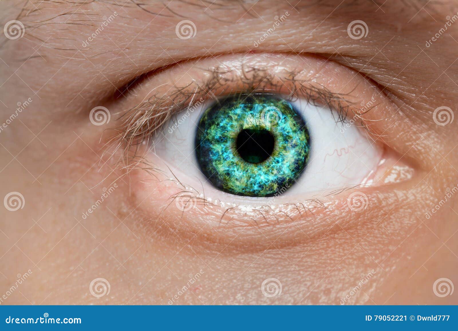 Green Human Figure Is A Connecting Element Of A Network Of People. A ...