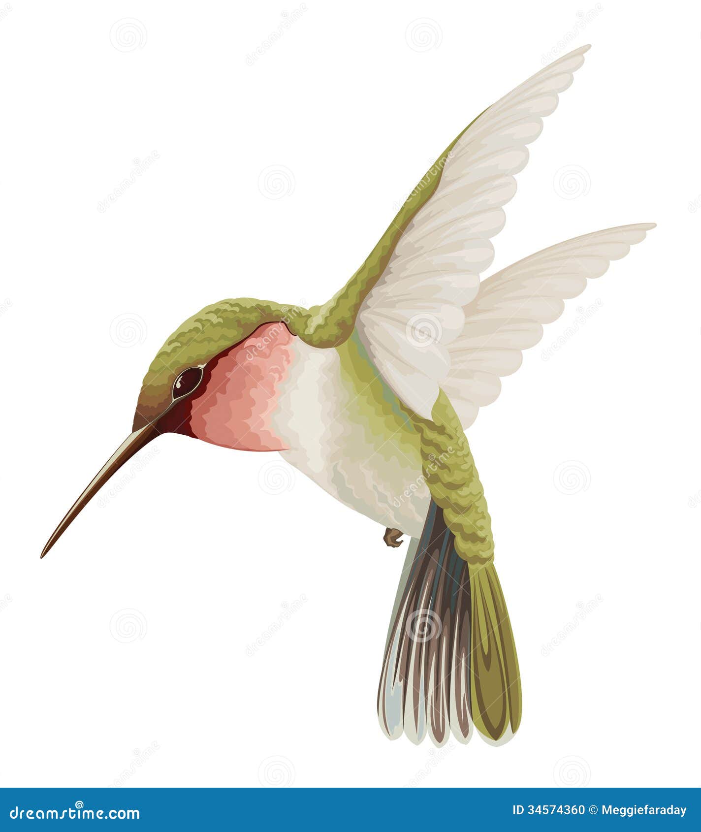 Green hummingbird stock illustration. Illustration of hummingbird ...