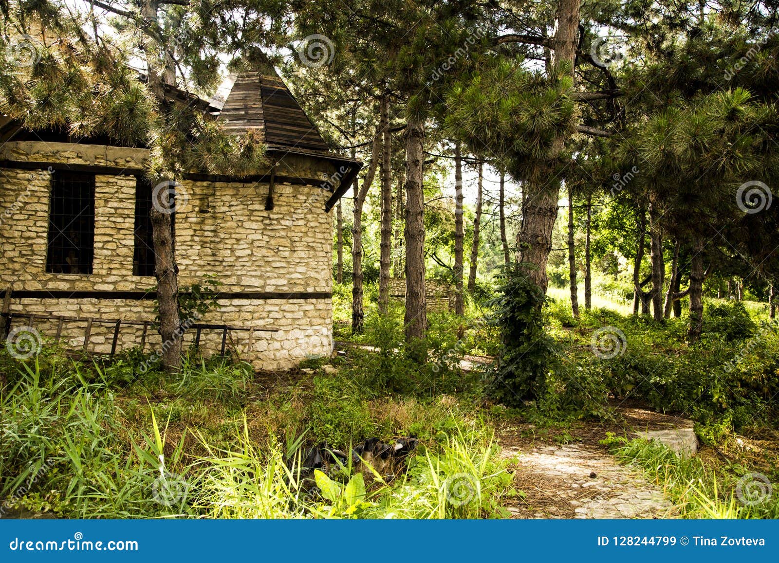 Green hut in forest stock image. Image of natural, environment - 128244799