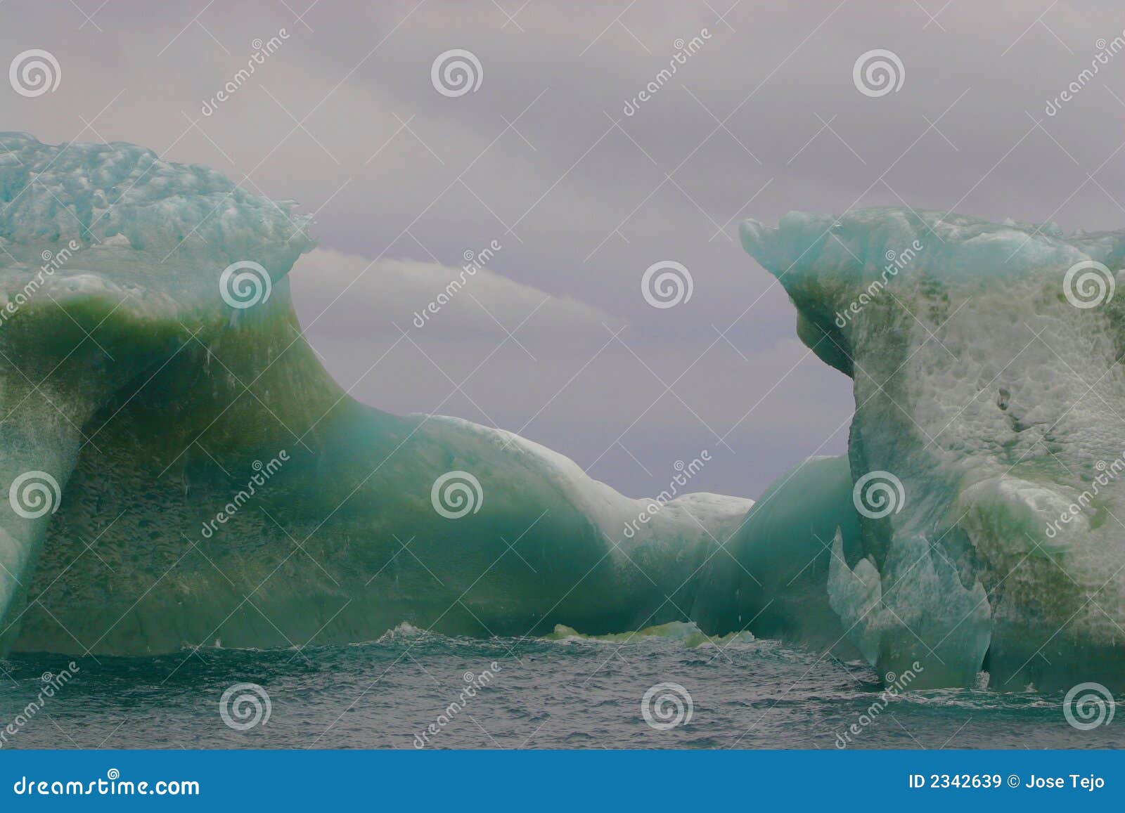 Green Iceberg Lettuce Leaf Royalty-Free Stock Photography ...