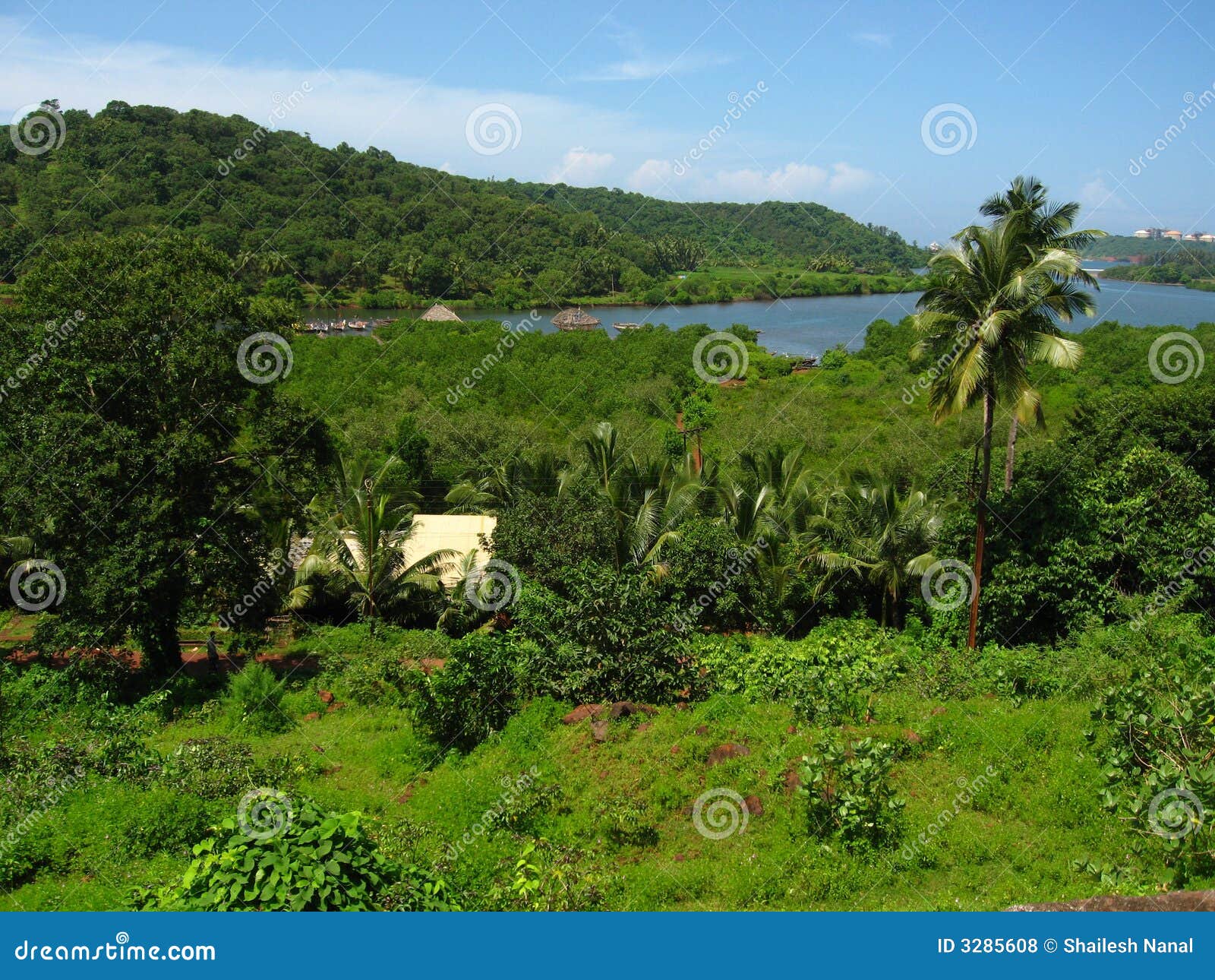 Green Indian countryside stock photo. Image of dwellings - 3285608