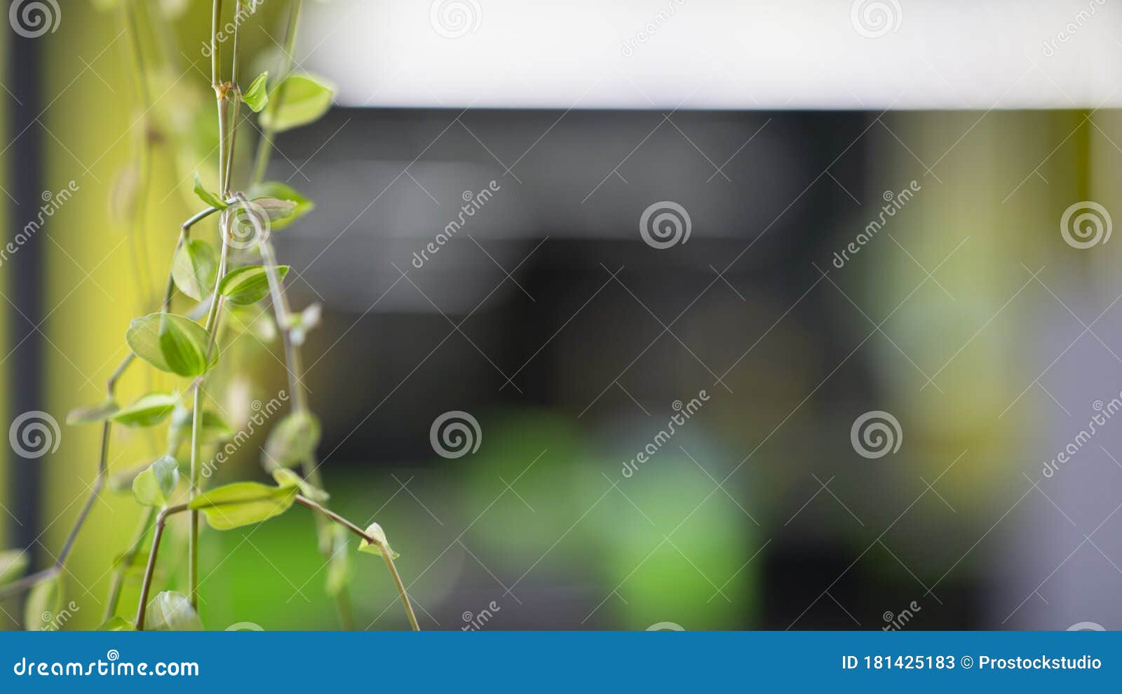 Green Indoor Plant Wall Arranged in Loft Office Interior Stock Image ...