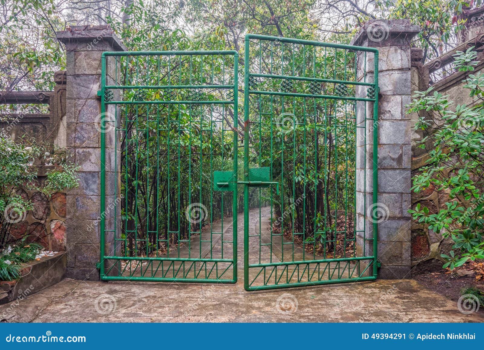 The green iron gate stock image. Image of door, driveway - 49394291