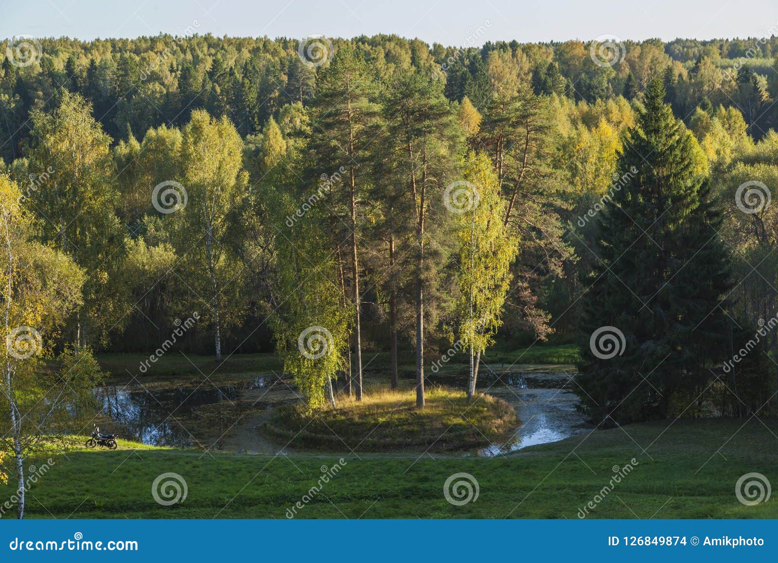 Green Island forest River stock photo. Image of jungle - 126849874