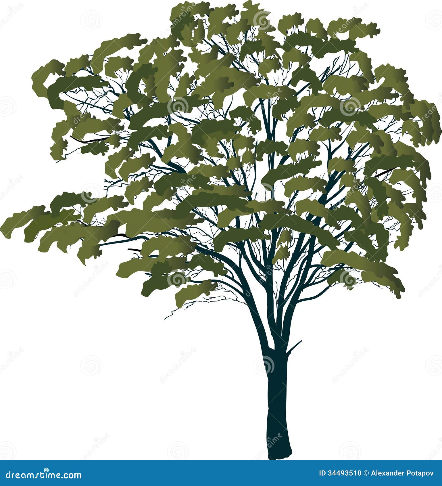Green Isolated Single Tree Illustration Stock Vector - Illustration of ...