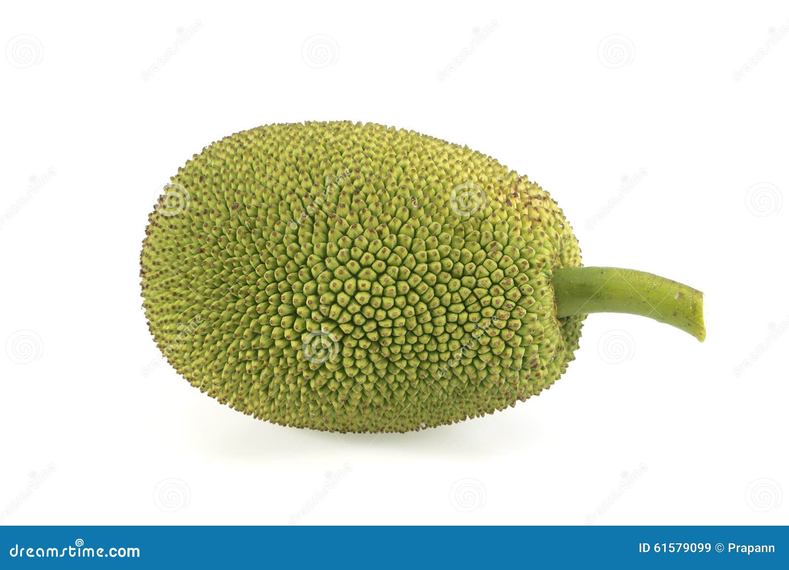 Green Jack Fruit Leaves With Natural Background. The Jack Fruit Also ...