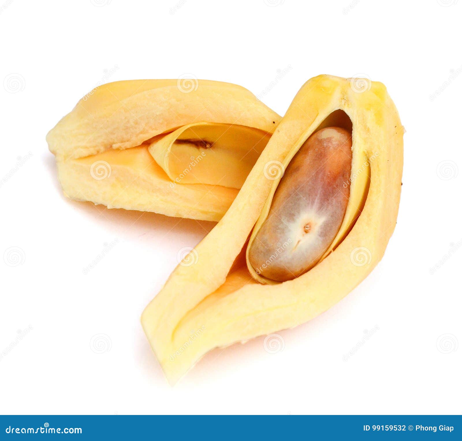 Green Jack Fruit on White Background Stock Photo - Image of hard, kali ...