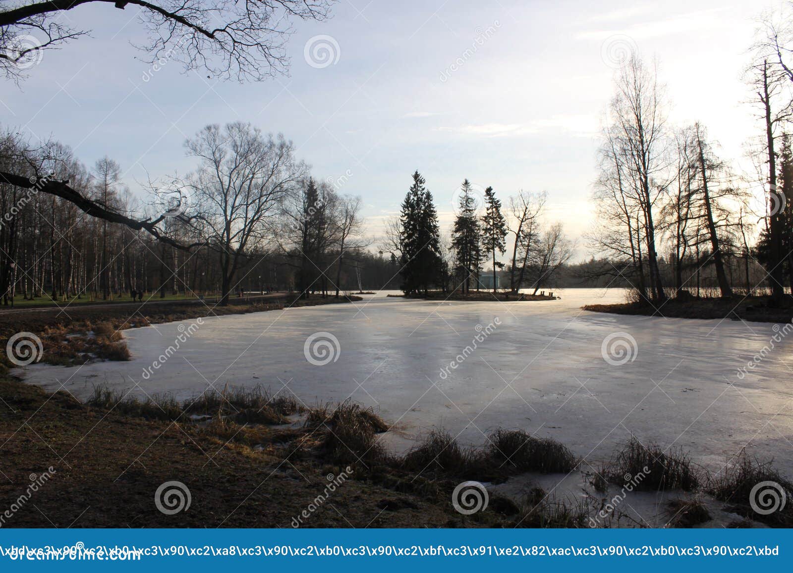 Green 1 January stock image. Image of trails, dawn, grass - 83411817