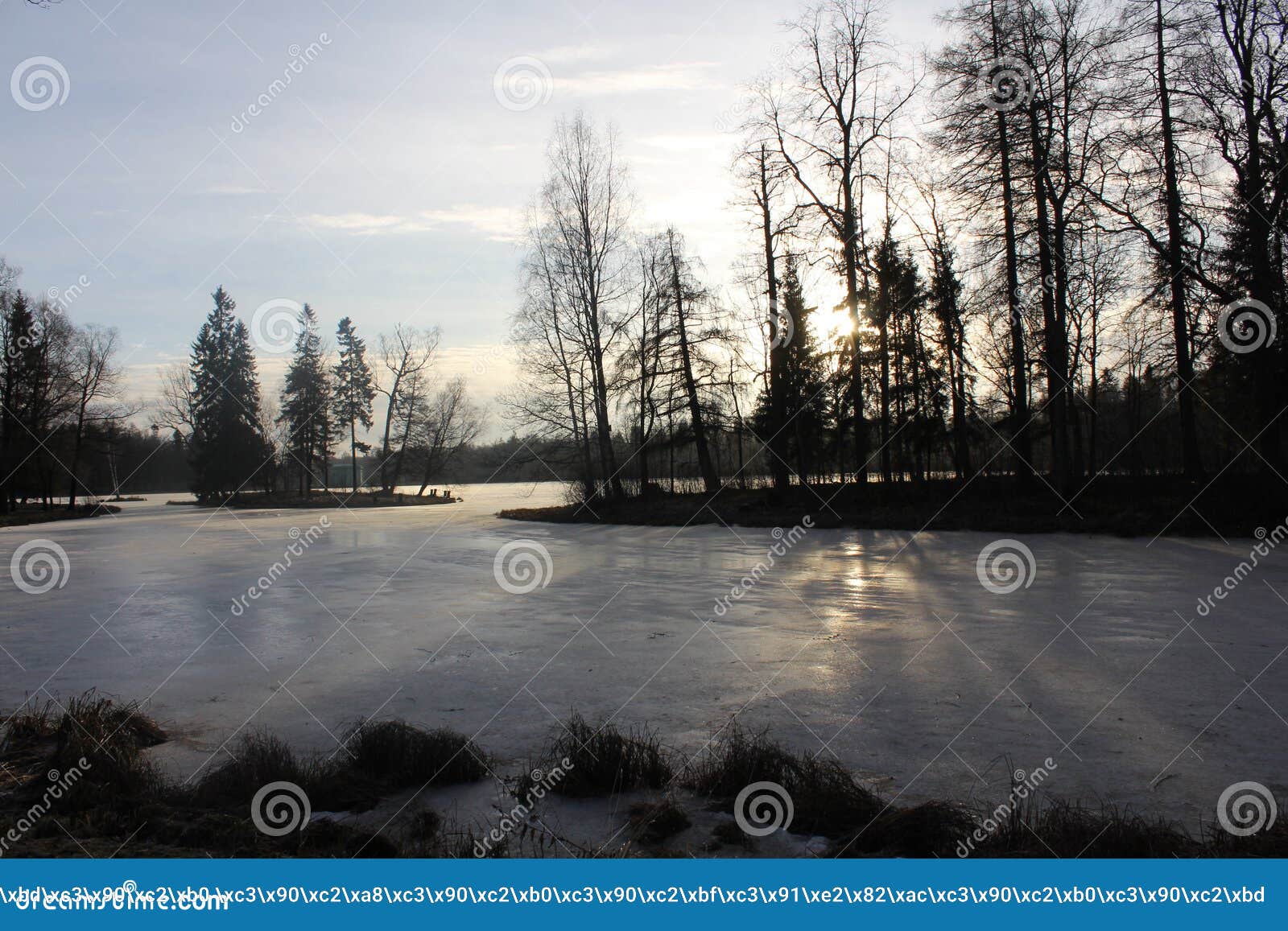 Green 1 January stock image. Image of park, versatile - 83411819