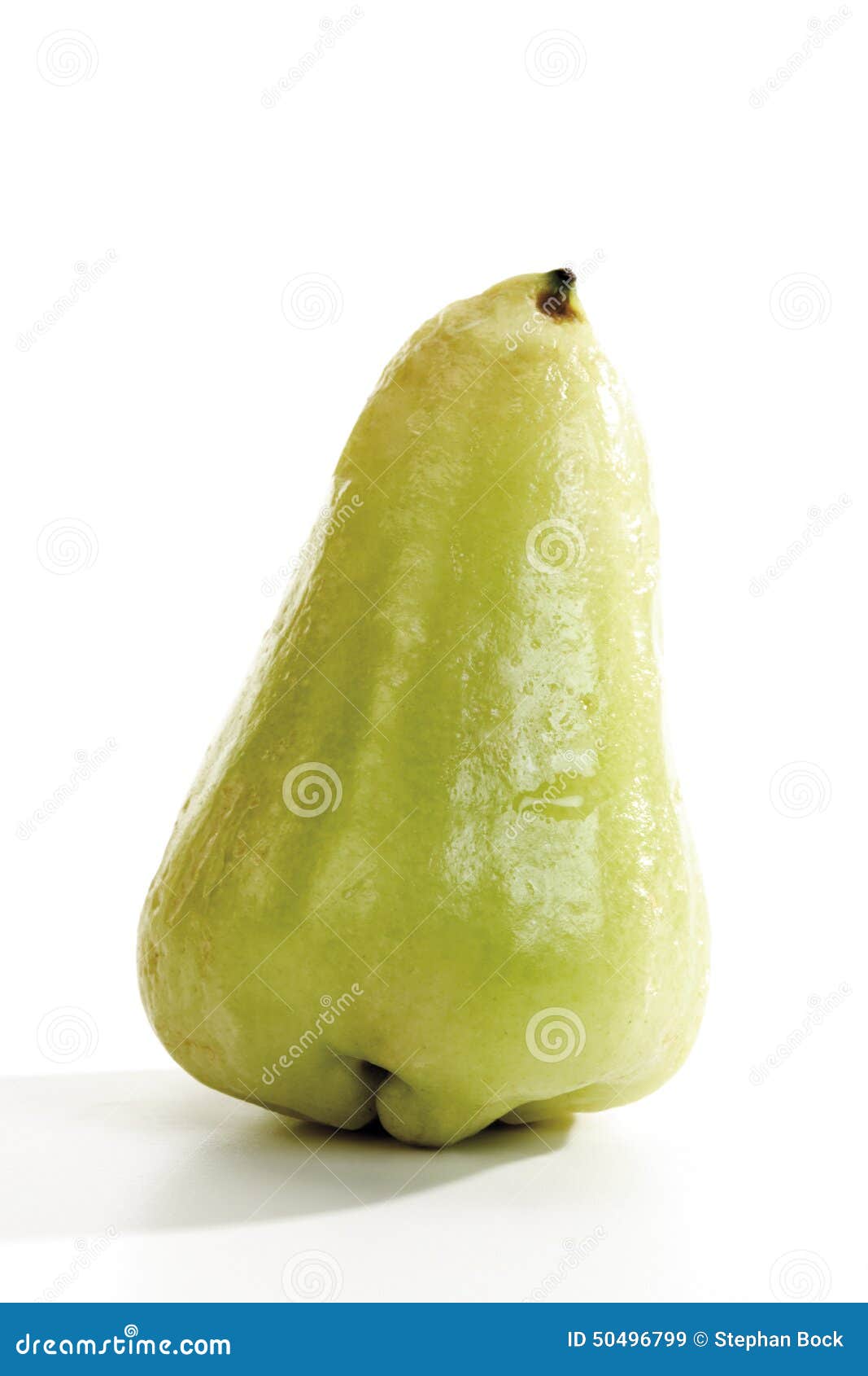 Green Java Apple (Syzygium Samarangense or Eugenia Javanica), Close-up ...