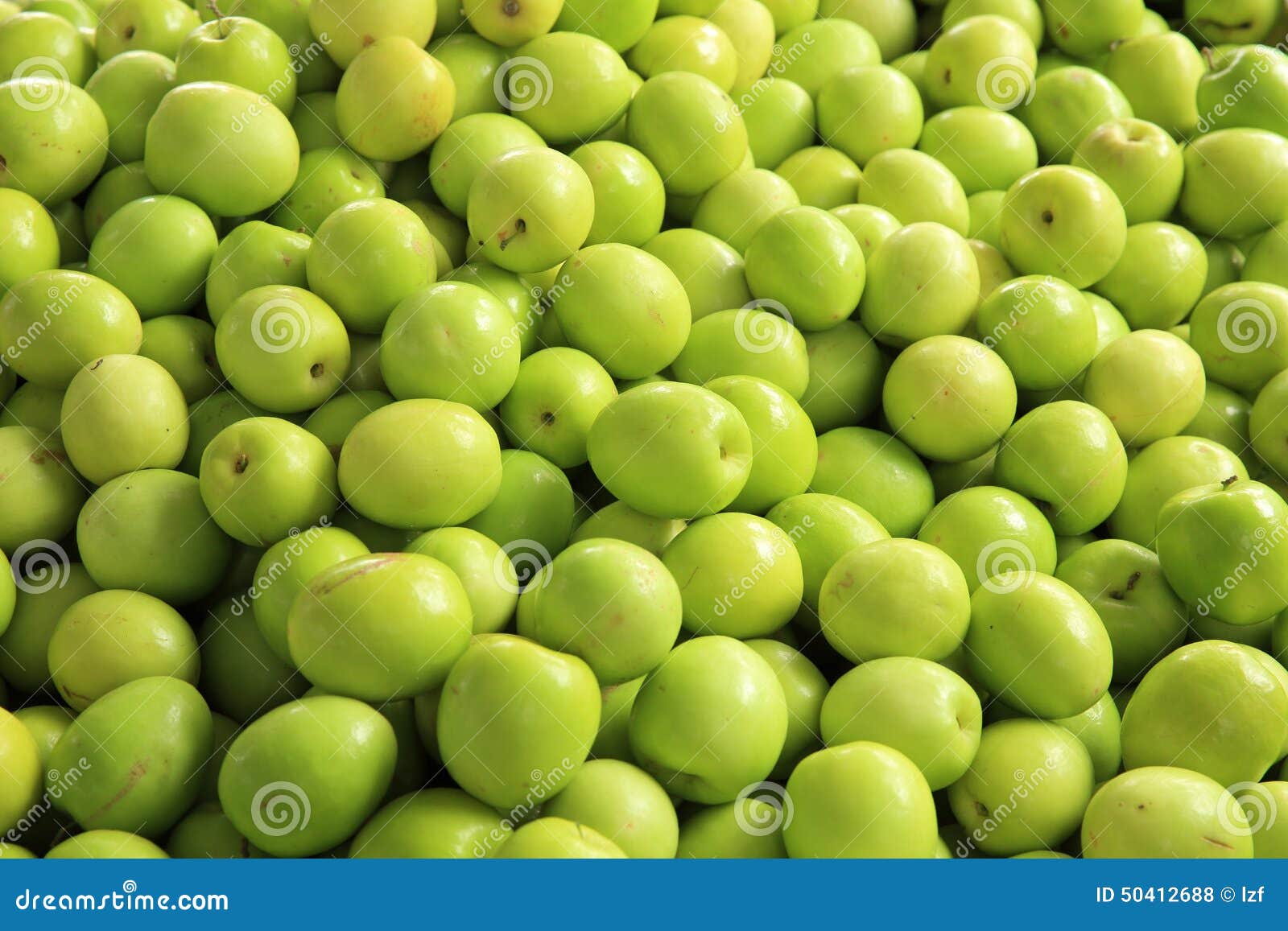 Green jujube fruit stock photo. Image of delicious, agricultural - 50412688