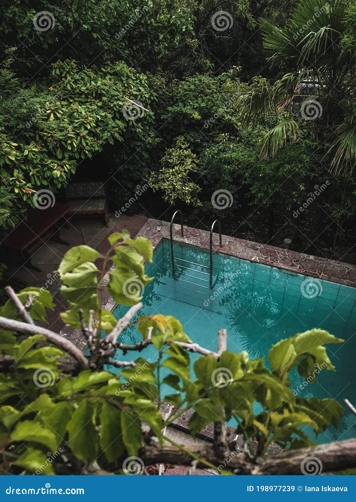 Green Jungle Swimming Pool stock image. Image of spring - 198977239