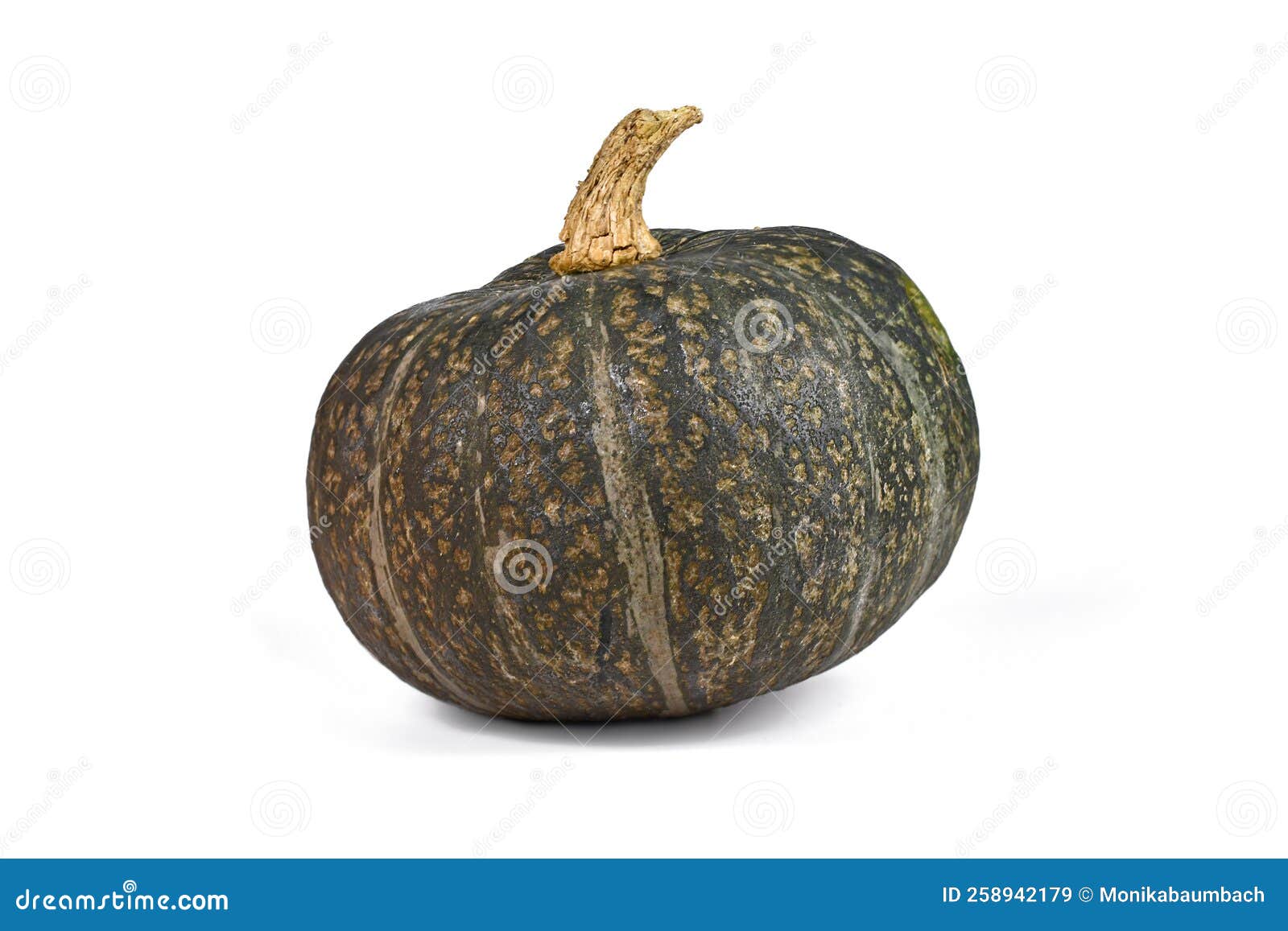 Green Kabocha Hokkaido Squash on White Background Stock Image - Image ...