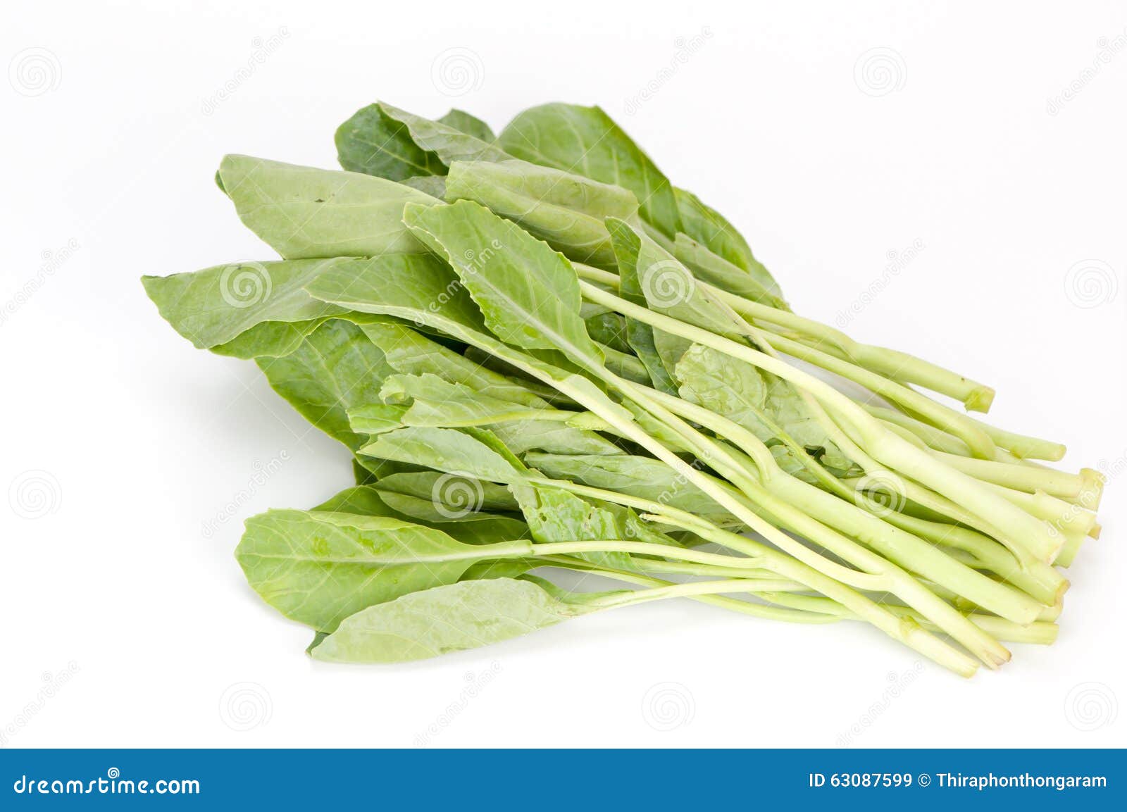 Green kale stock image. Image of kale, ripe, cabbage - 63087599