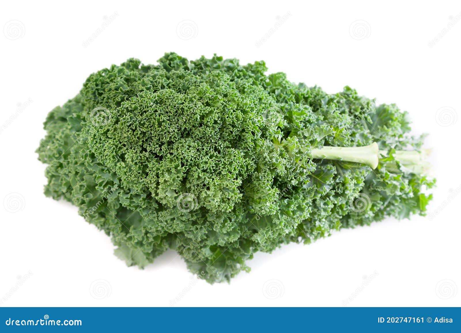 Green kale leaf stock image. Image of snack, vegetarian - 202747161