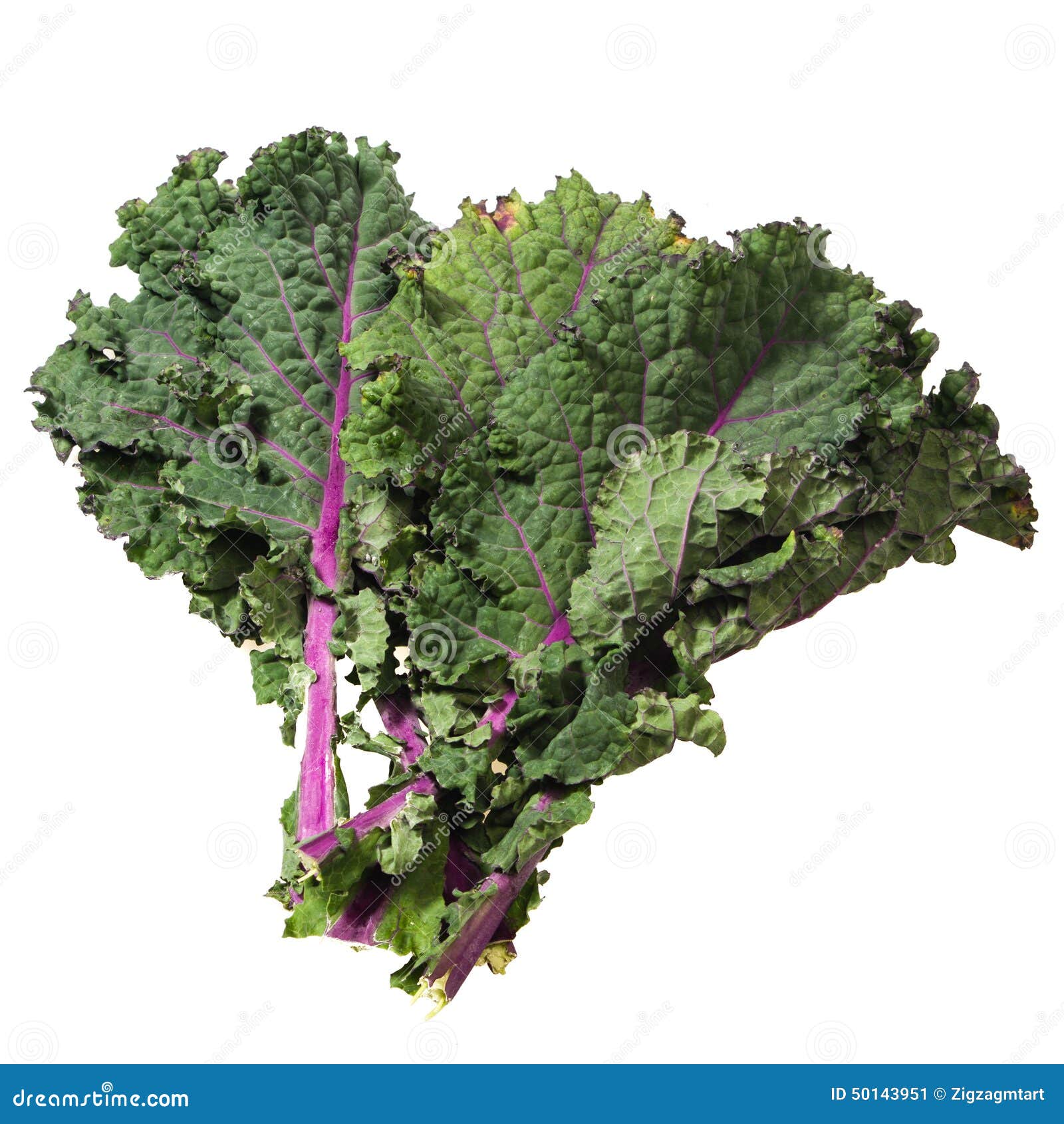 Green Kale Leaves Isolated on White Stock Image - Image of greens ...